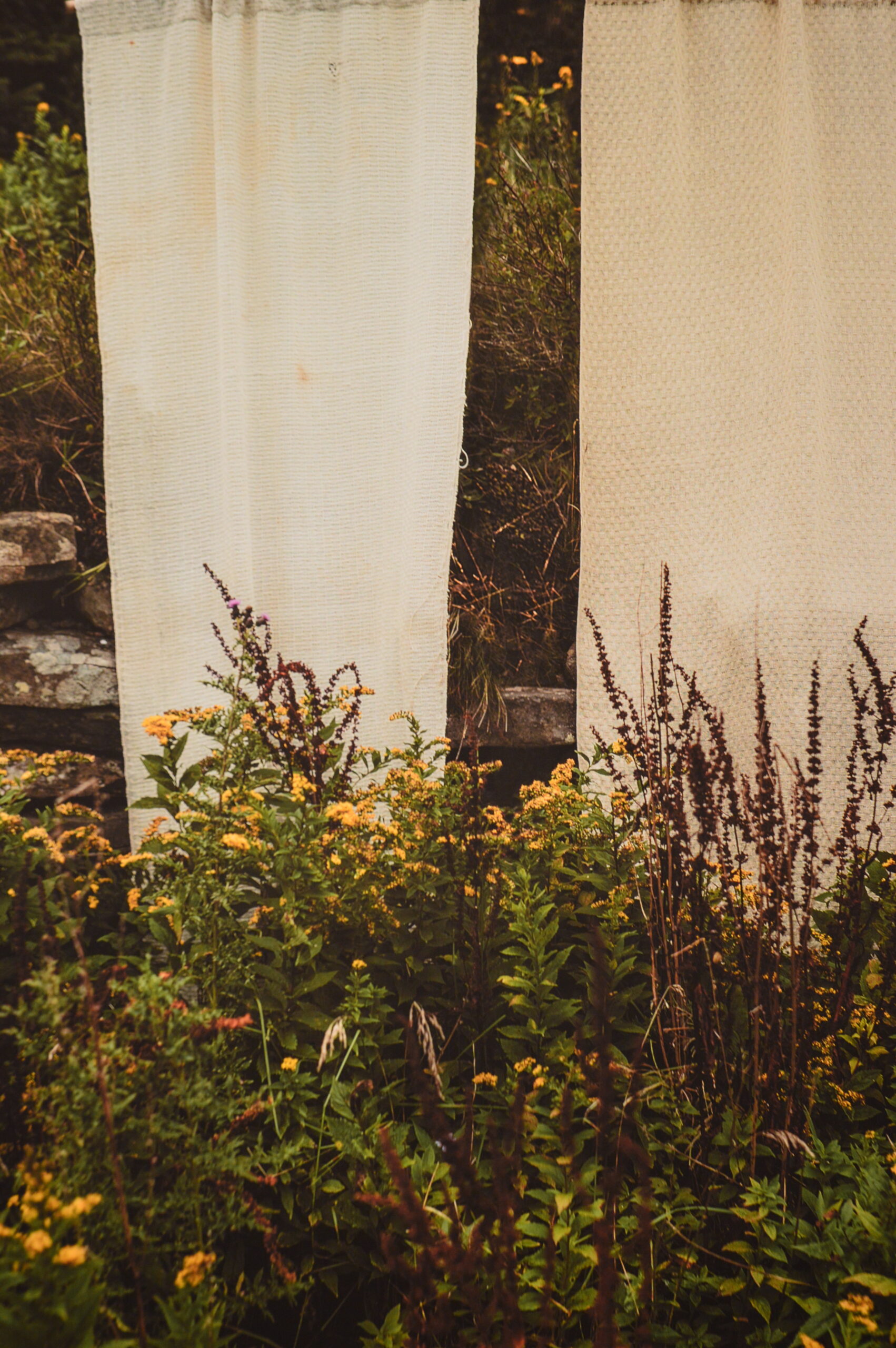 Megan Samms & Kristin Pope: this is how we can visit › Eastern Edge Gallery